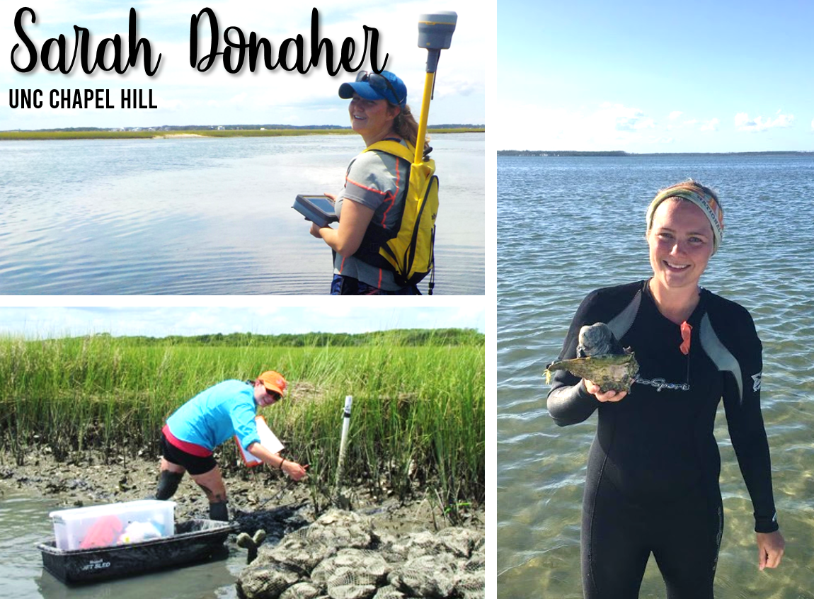 Student Spotlight: Sarah Donaher – SEERS